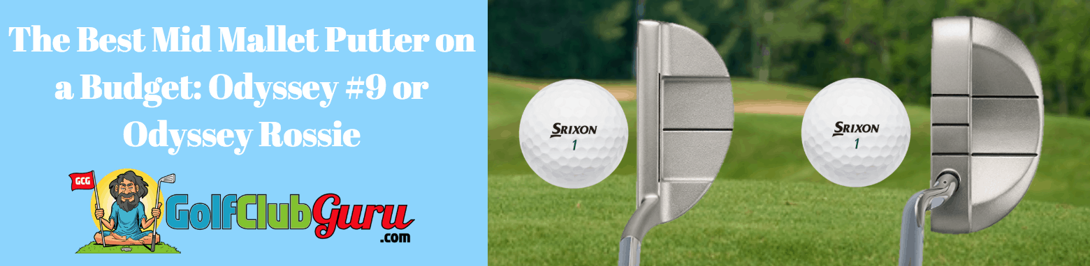 Blade vs Mid-Mallet vs Mallet Putters – Golf Club Guru