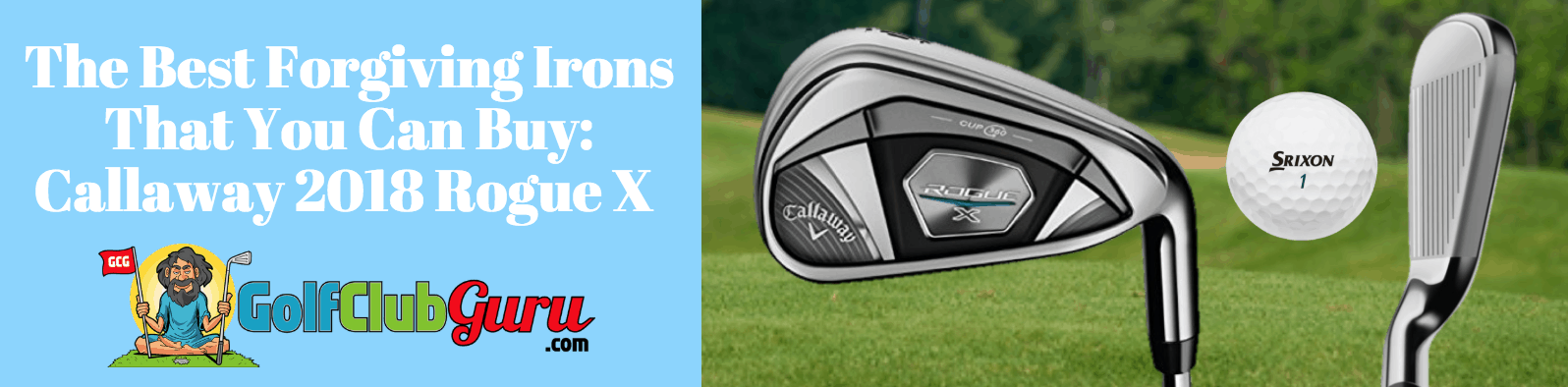 The Most Forgiving Irons in Golf – Golf Club Guru